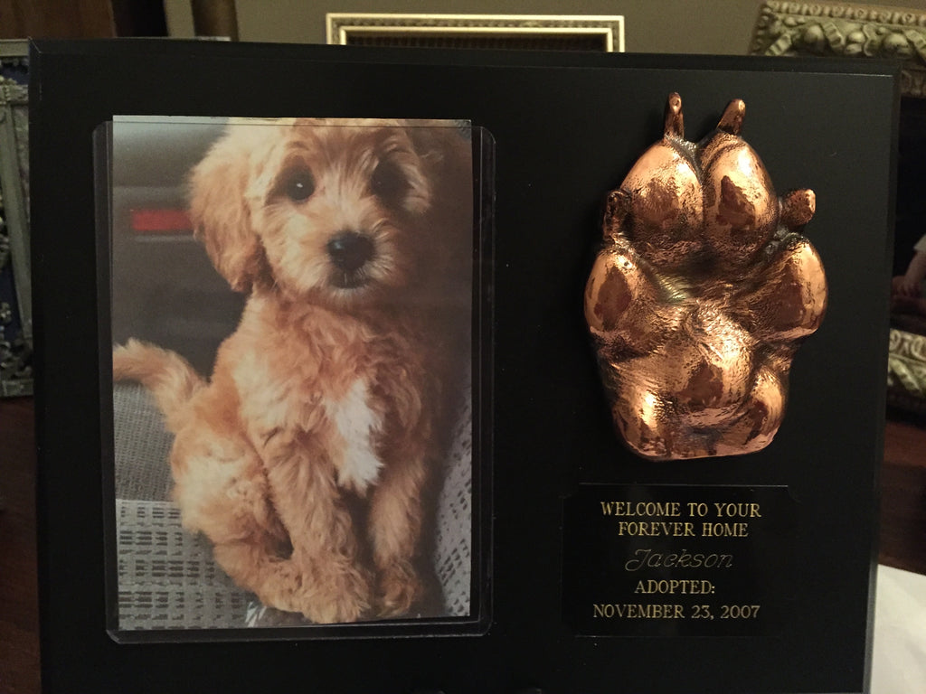 BRONZED PET PAW PLAQUE – Patty-Cakes International